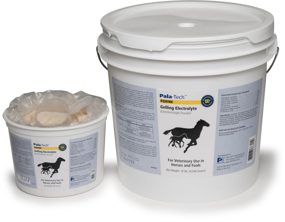 Equine Gelling Electrolyte - Pala-Tech Laboratories