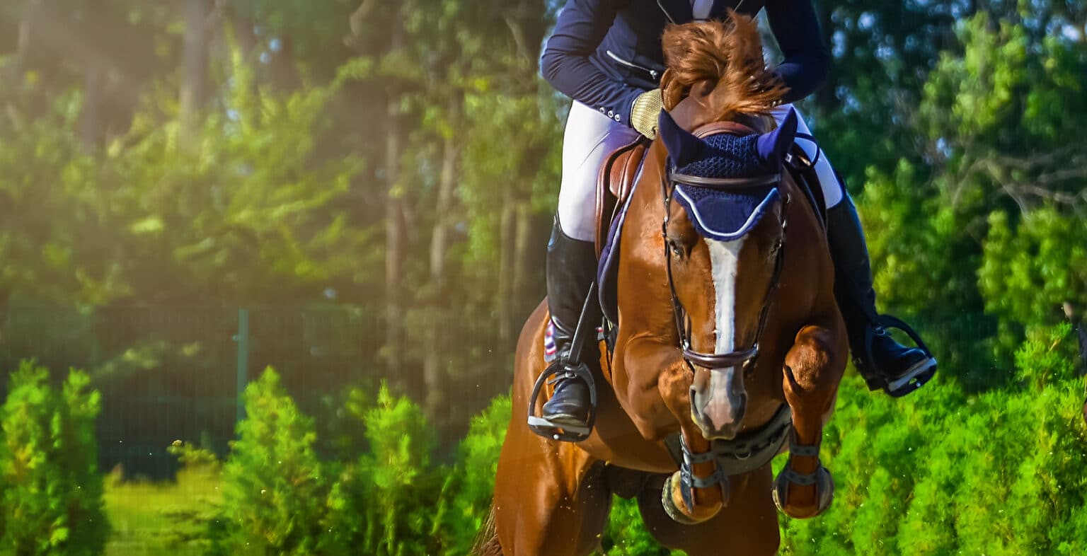 Contact Us - Pala-Tech Laboratories